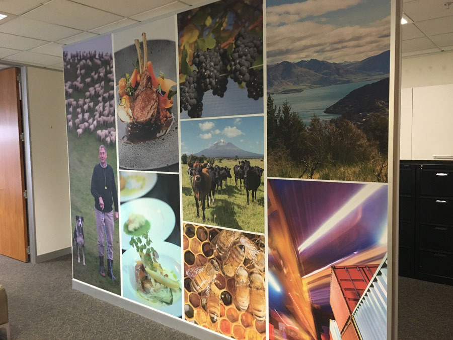 Window Tinting & Frosting Wellington - 3M Vinyl Film Wraps NZ